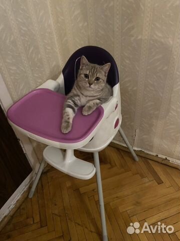 Котик Для вязки