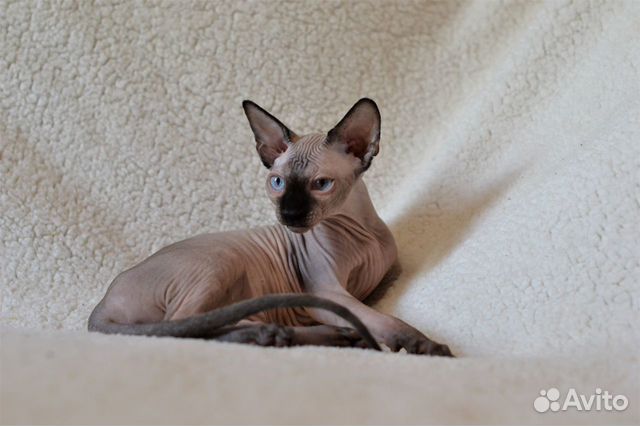 Мальчик 3 мес