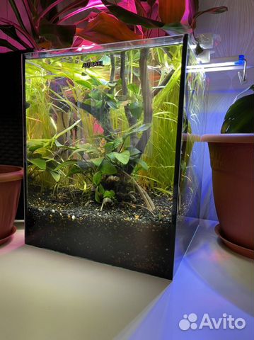 Аквариум