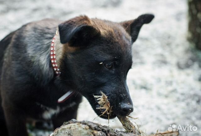 Подросток Барбара - роскошный, весёлый малыш