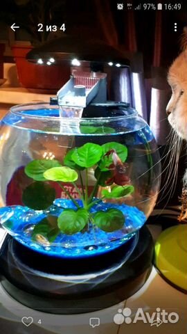 Аквариум Tetra