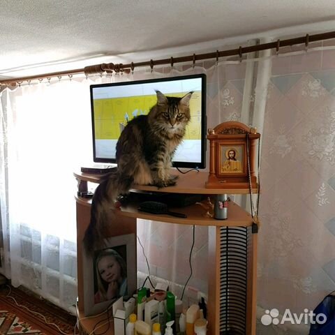 Мэйкун
