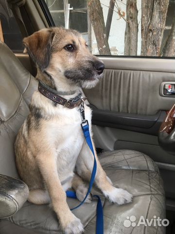 Джессика ищет дом