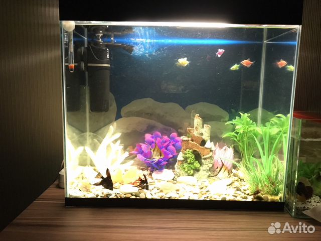 Аквариум Украшение для аквариума