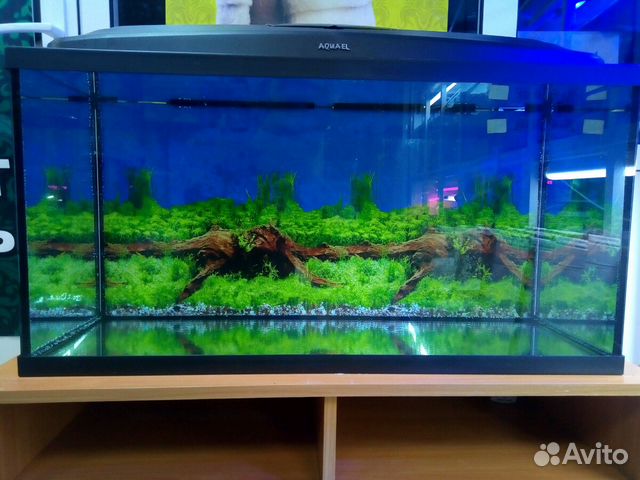 Аквариум Aquael 112 литров б/у