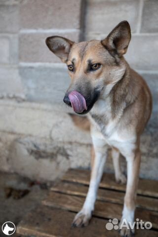 Дику нужен дом