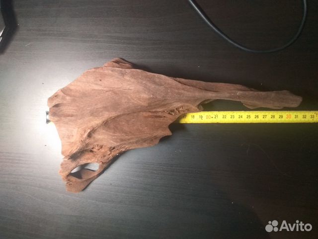 Коряги из мангра