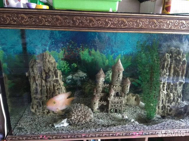 Аквариум с тумбочкой