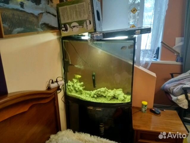 Аквариум