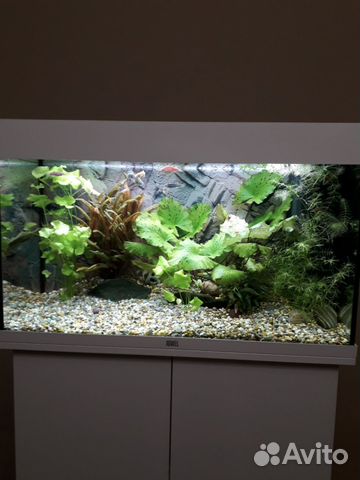 Продам Аквариум Ювель