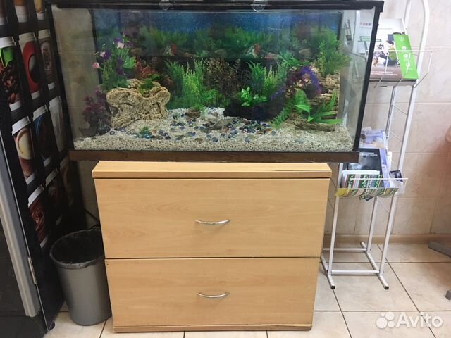 Аквариум - террариум