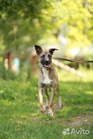 Ребенок без детства - разве так должно быть