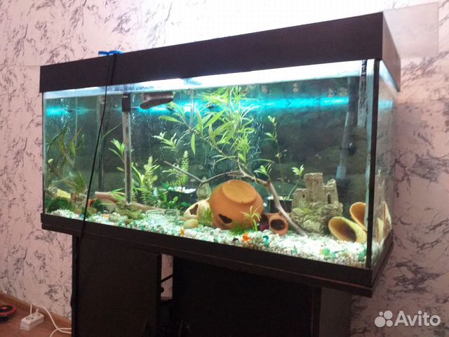 Аквариум 200 литров