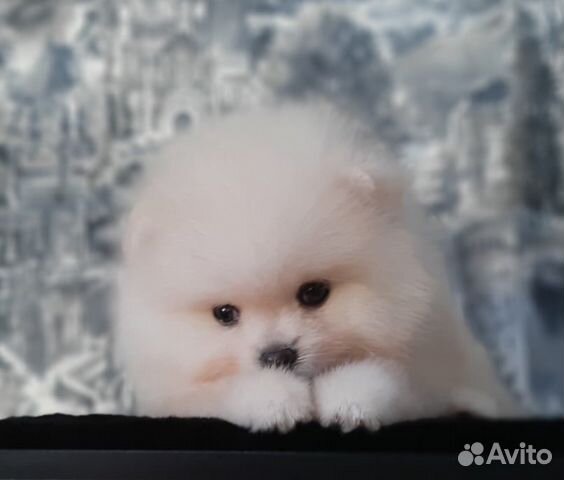 Девочка конфеточка