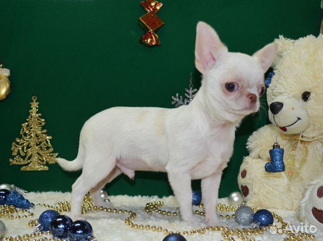 Супер малыш