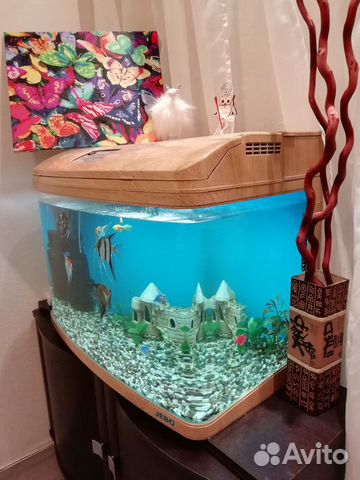 Аквариум