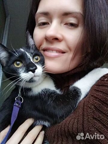 Котенок Стрельченок, 5 мес, вырастет гигантом