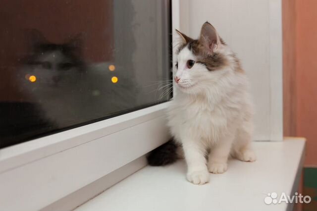 Самые милые и ласковые девчушки