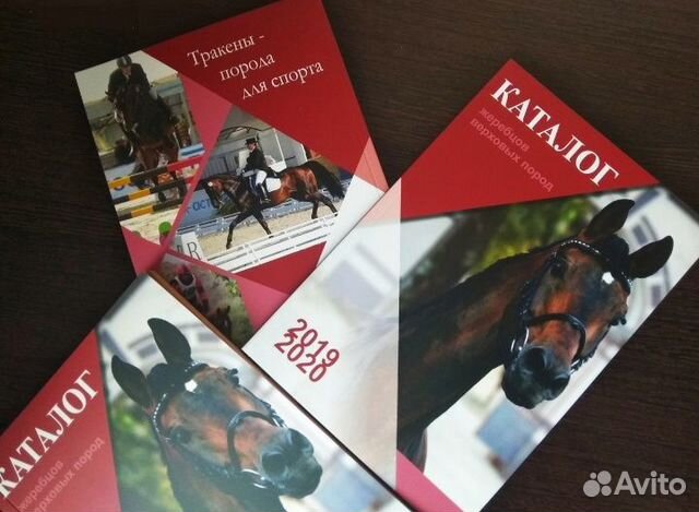 Каталог жеребцов-производителей верховых пород спо