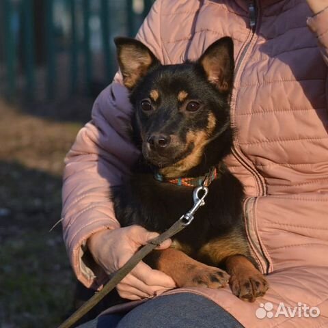 7 кг счастья