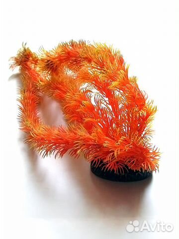 Искусственное растение «Амбулия»