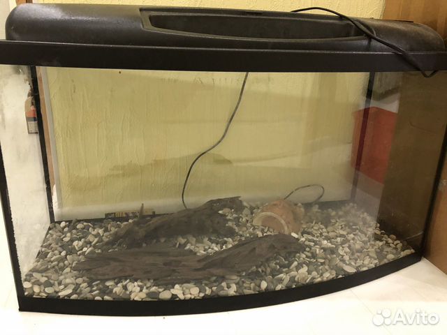 Аквариум с 2 черепашками