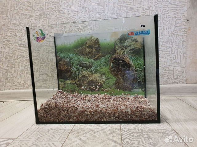 Аквариум для рыб