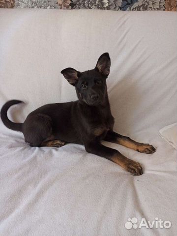 Активная девочка 4 месяца