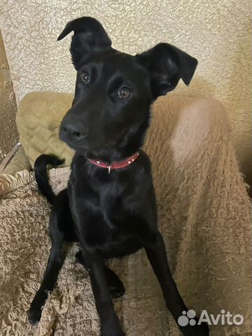 Фаня 5,5 месяцев