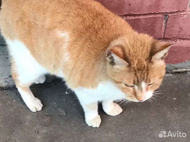 Пожалуйста, помогите мне