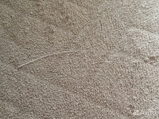 Усик котика