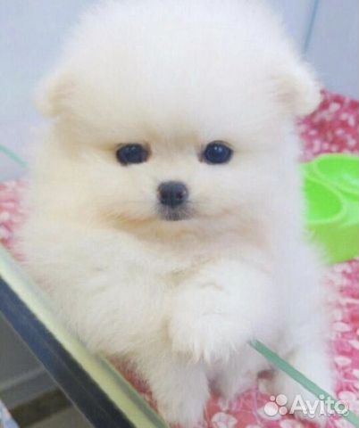 Маленькие антидепрессанты.Девочки и мальчики