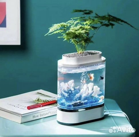 Акваферма, аквариум Xiaomi