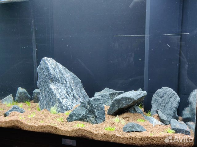 Аквариум juwel 125 lido