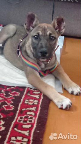 Очаровательный малыш