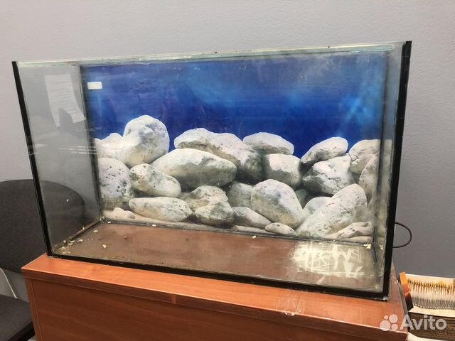 Аквариум