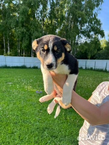 Глаша ждёт свою семью. Девочка в приюте