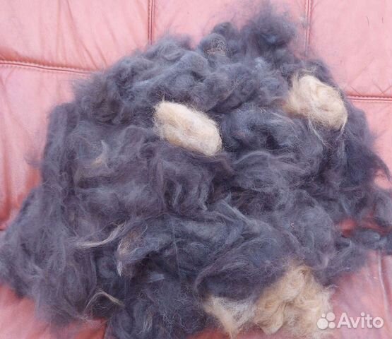 Шерсть (вычес )тибетского мастифа