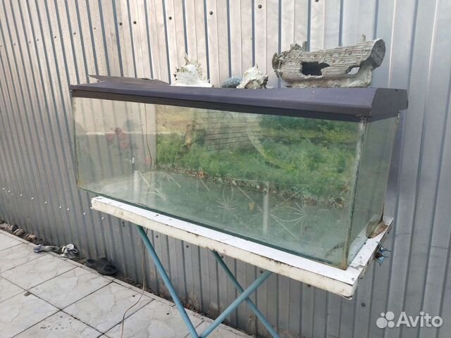 Аквариум