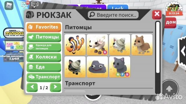 Петы адопт ми