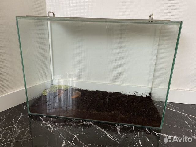 Террариум с крышкой