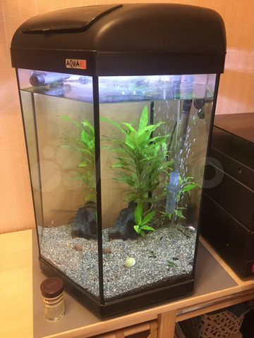 Аквариум AquaEL 60 л с оборудованием