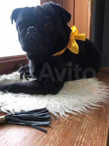 Кабель мопс на вязку