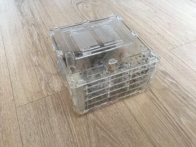 Продается муравьиная ферма