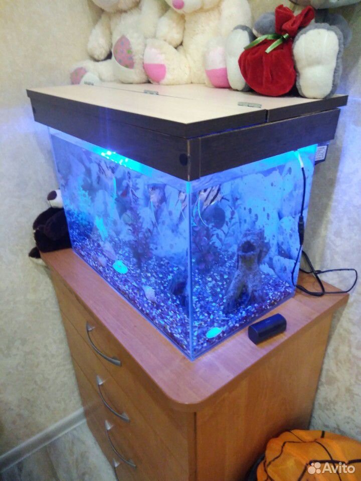 Аквариум