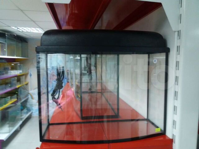 Аквариум панорамный