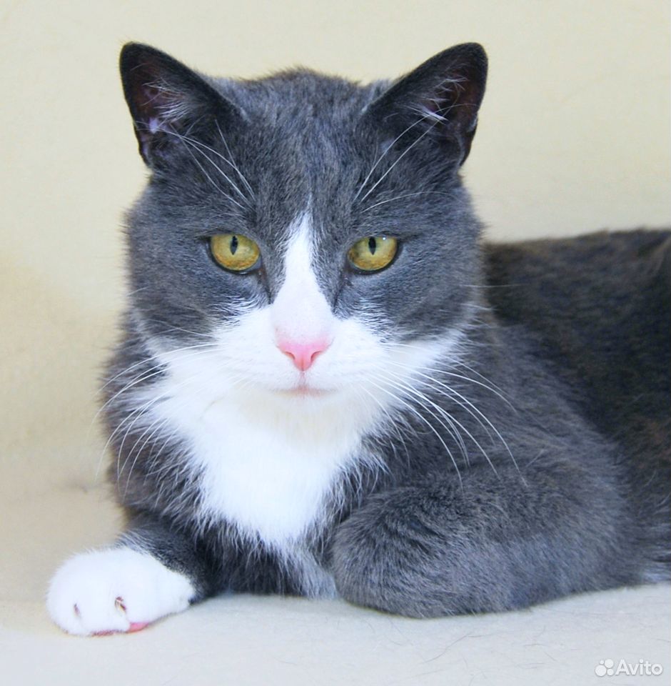 7 кг счастья