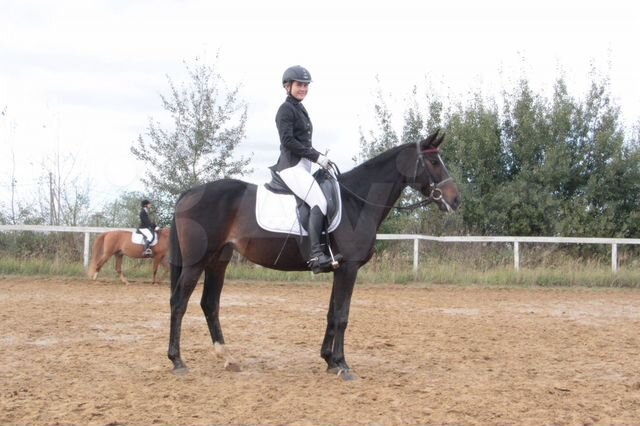 Лошадь под ребенка